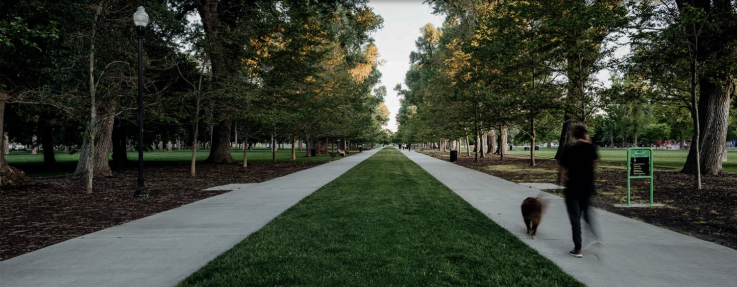 Trapp Construction | Trapp Construction